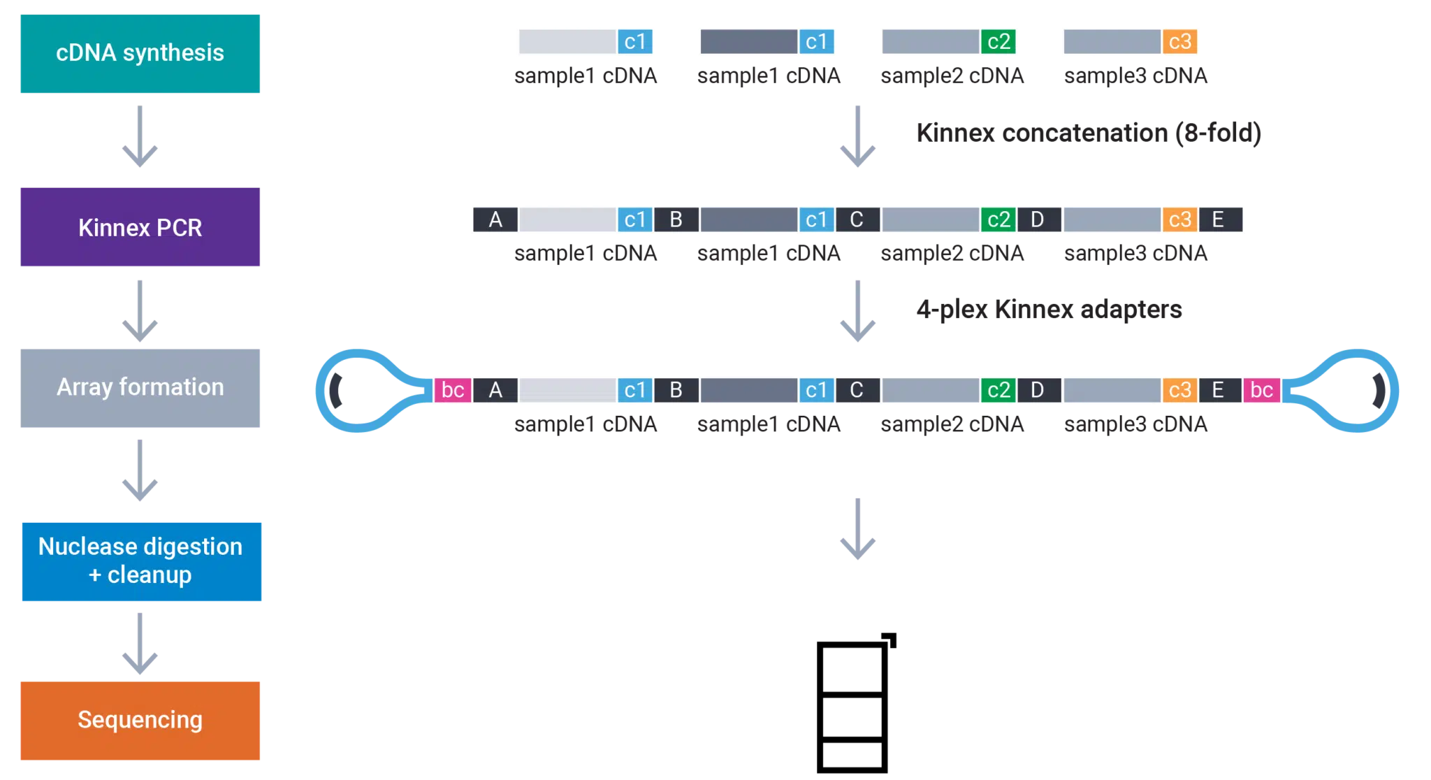 Decrease your cost-per-sample with multiplexing - PacBio