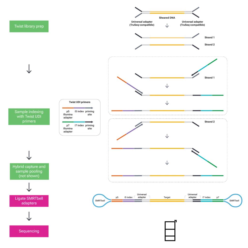 Decrease your cost-per-sample with multiplexing - PacBio