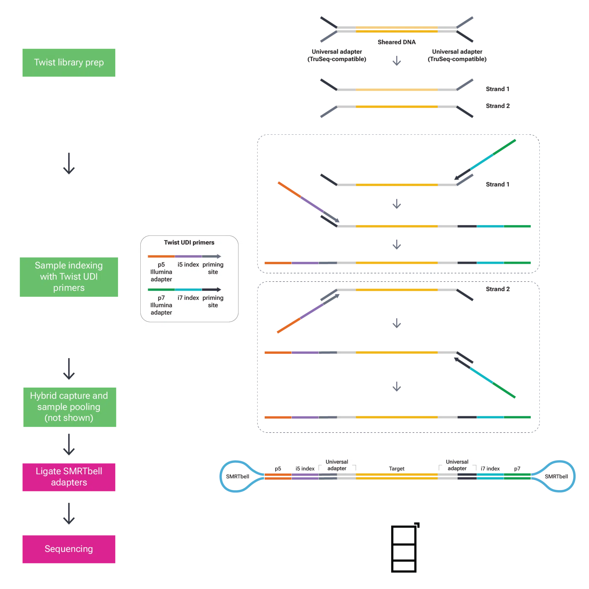 Decrease your cost-per-sample with multiplexing - PacBio