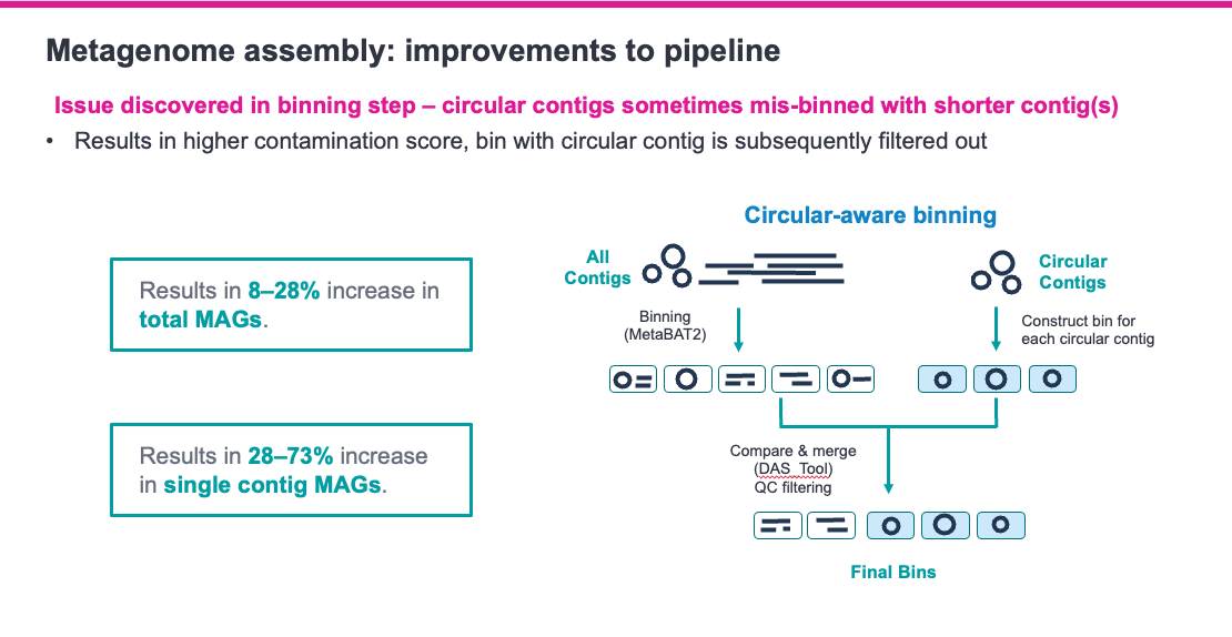 HiFi metagenomics: more samples, more species, more MAGs