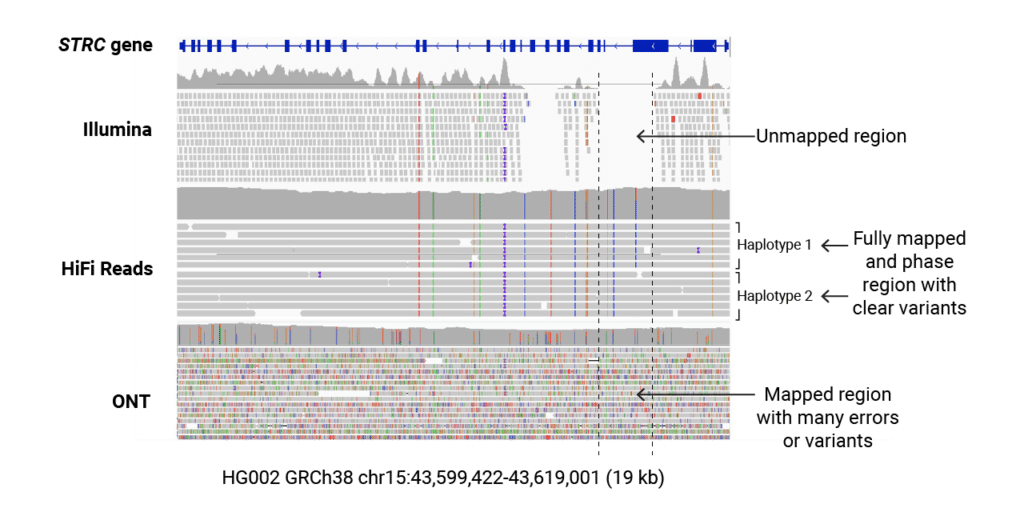 测序 101：了解 DNA 测序的准确率 - PacBio
